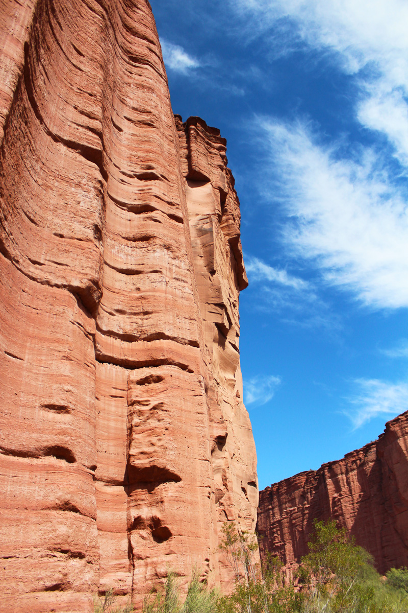 Visite de l'imposant parc national de Talampaya au nord de l'Argentine