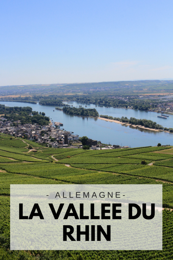 Escapade de 2 ours dans la Vallée du Rhin en Allemagne