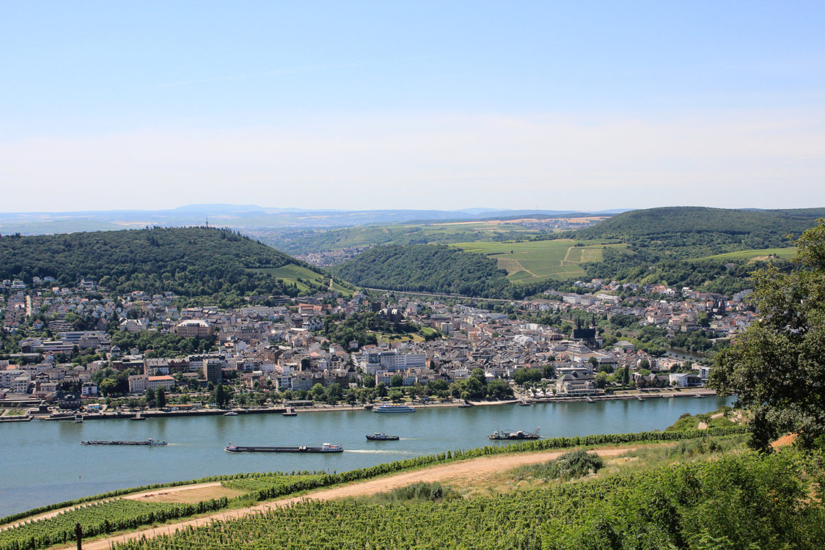 Escapade de 2 ours dans la Vallée du Rhin en Allemagne
